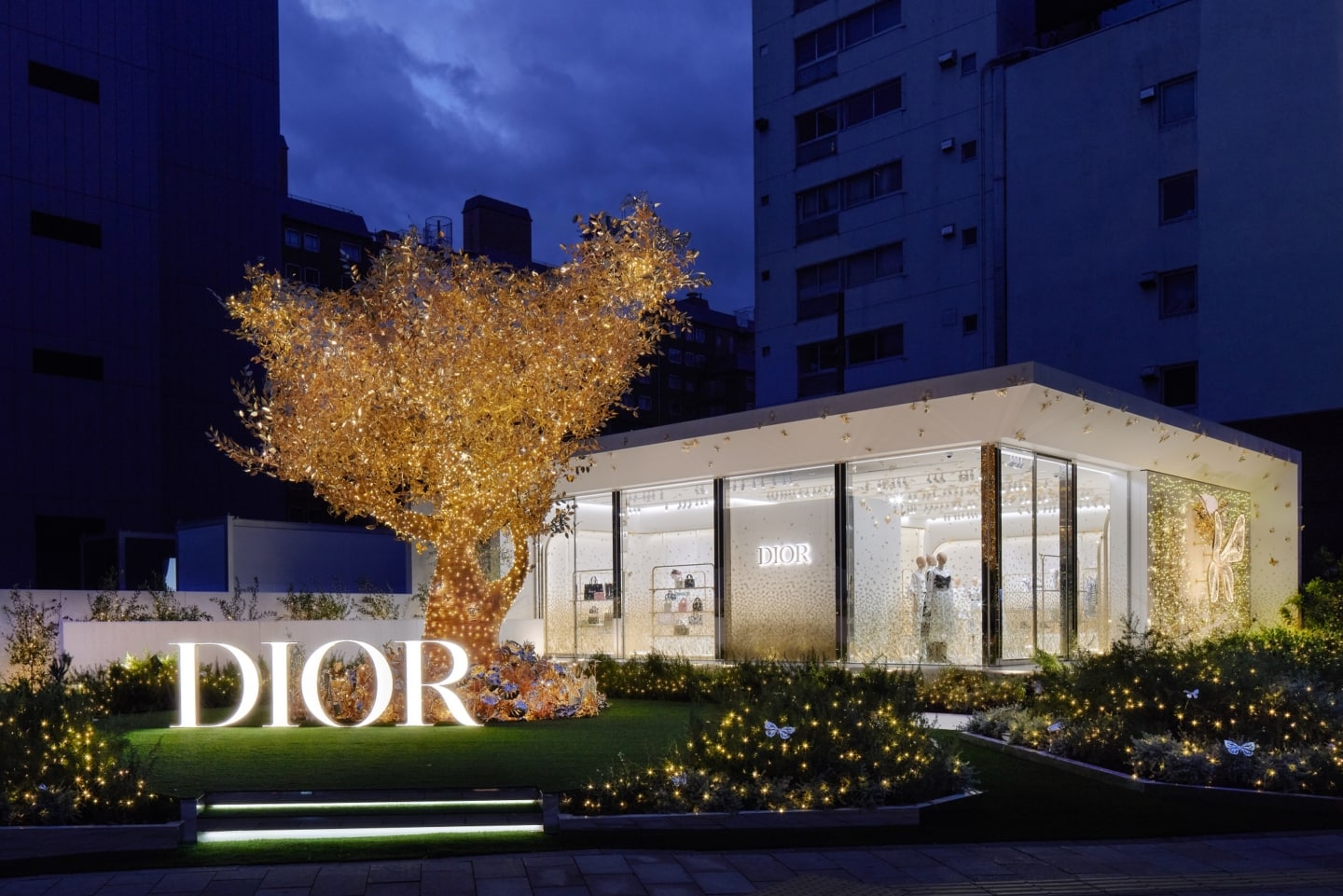 イルミネーションがキレイな表参道でひときわ輝く【DIOR】ホリデー ポップアップへ行こう｜【公式】オトナミューズ ウェブ（otona MUSE）